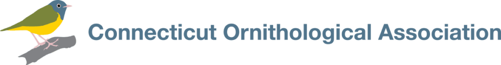 - Connecticut Ornithological Association | COA